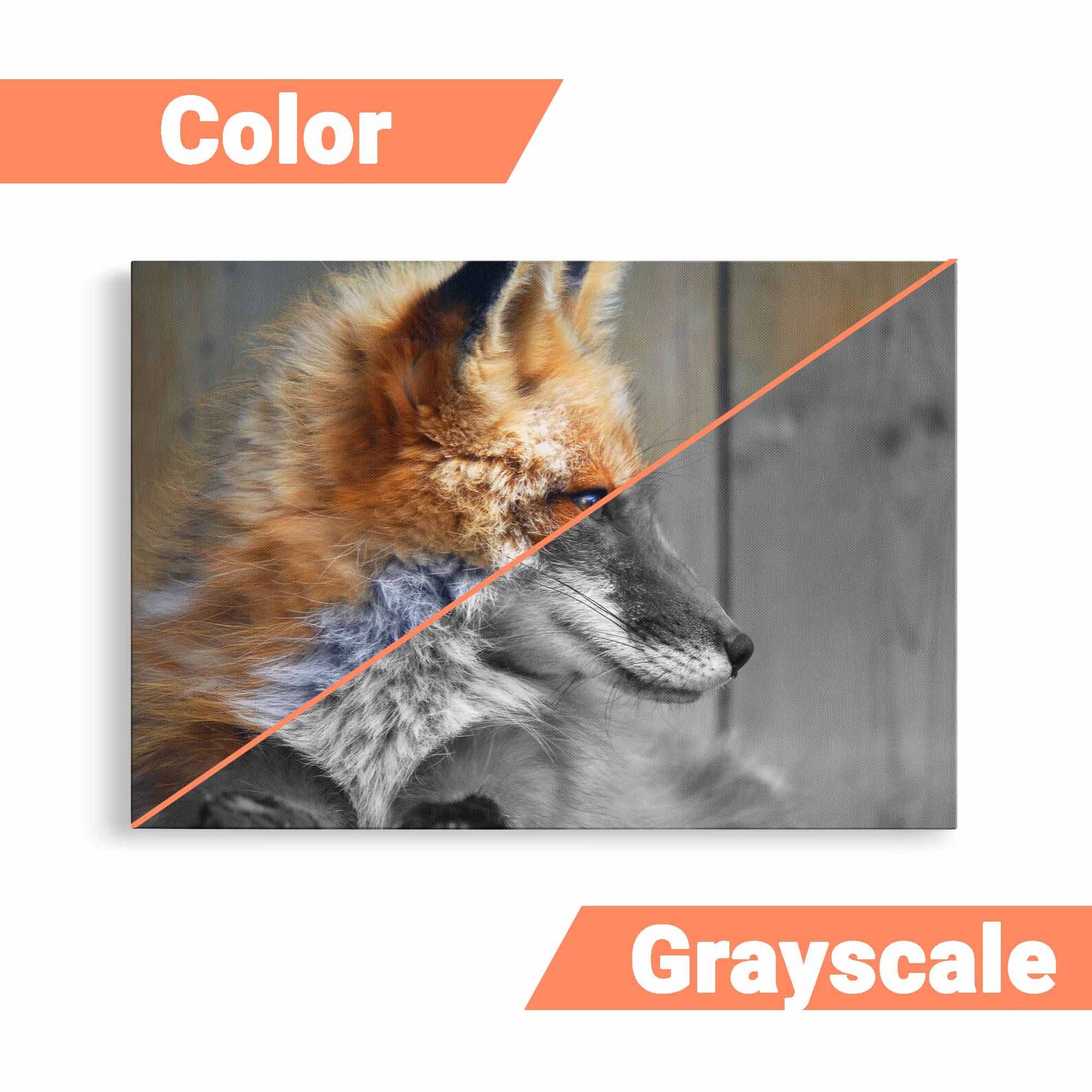 Red Fox Canvas Print Red Fox Wall Art Canvas Multiple Sizes - Etsy