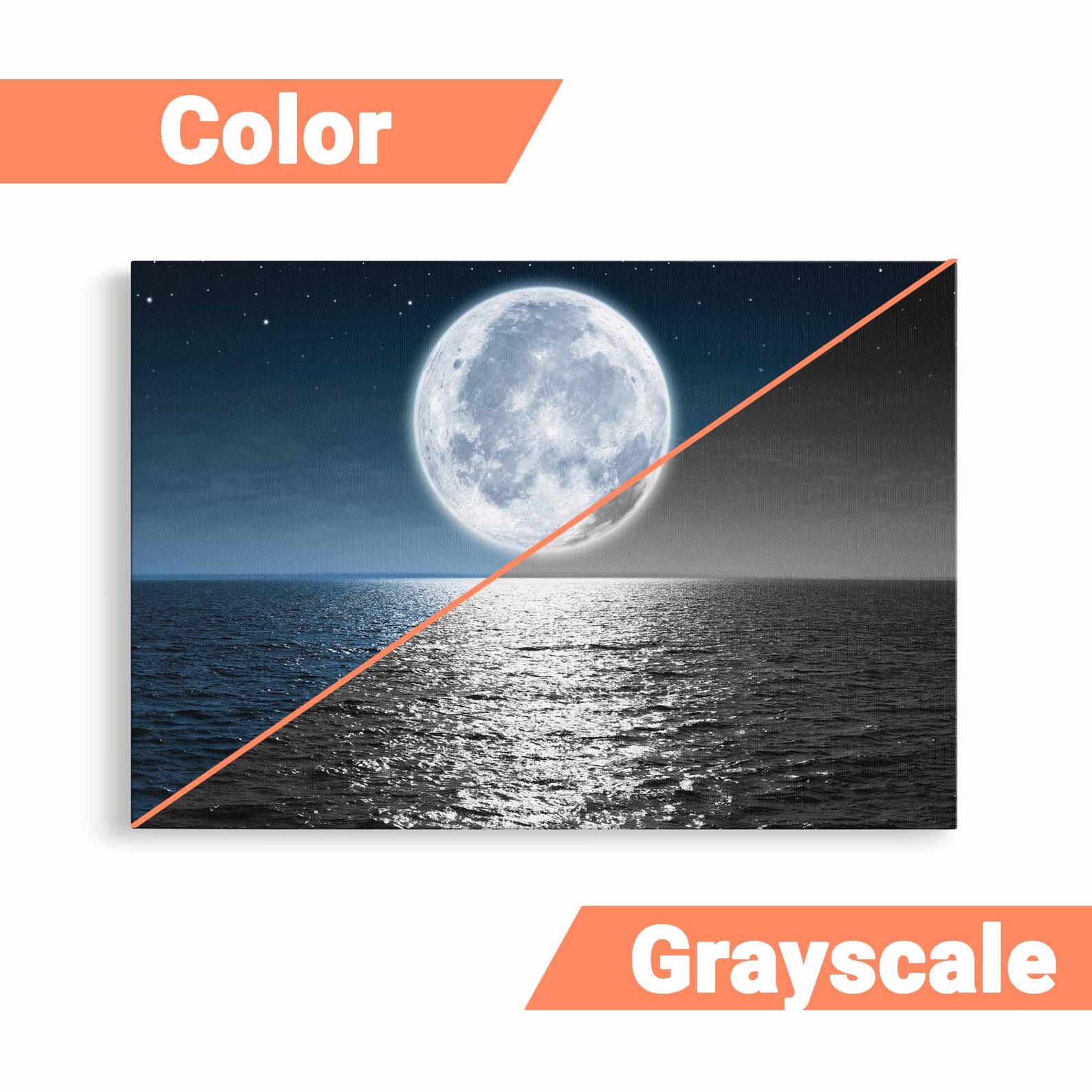 Full Moon Canvas Print Full Moon Wall Art Full Moon Poster Full Moon ...