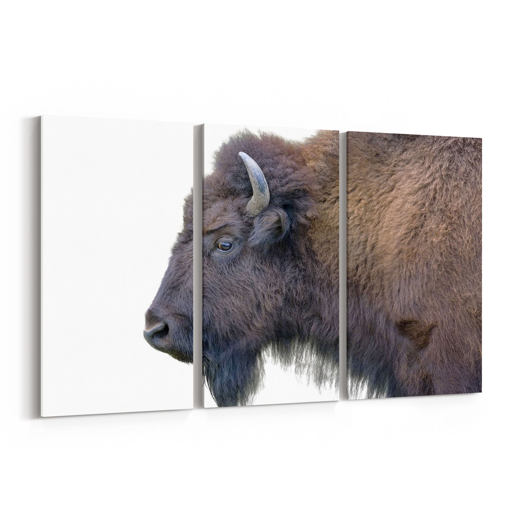 Buffalo Canvas Print Buffalo Wall Art Canvas Multiple Sizes Wrapped ...