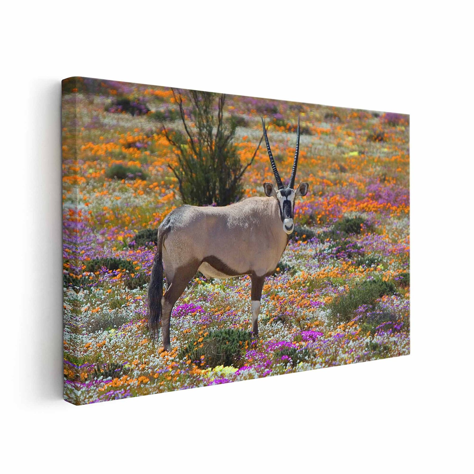 Oryx in Flowers Canvas Print || Oryx in Flowers Wall Art || Oryx in ...