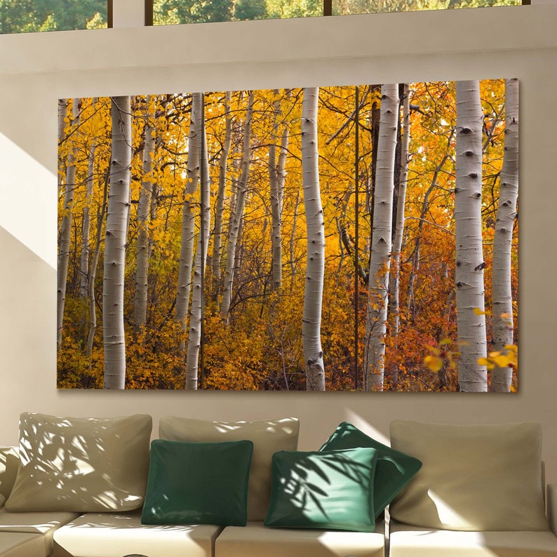 Aspen Tree Canvas Print Aspen Tree Wall Art Canvas Multiple | Etsy