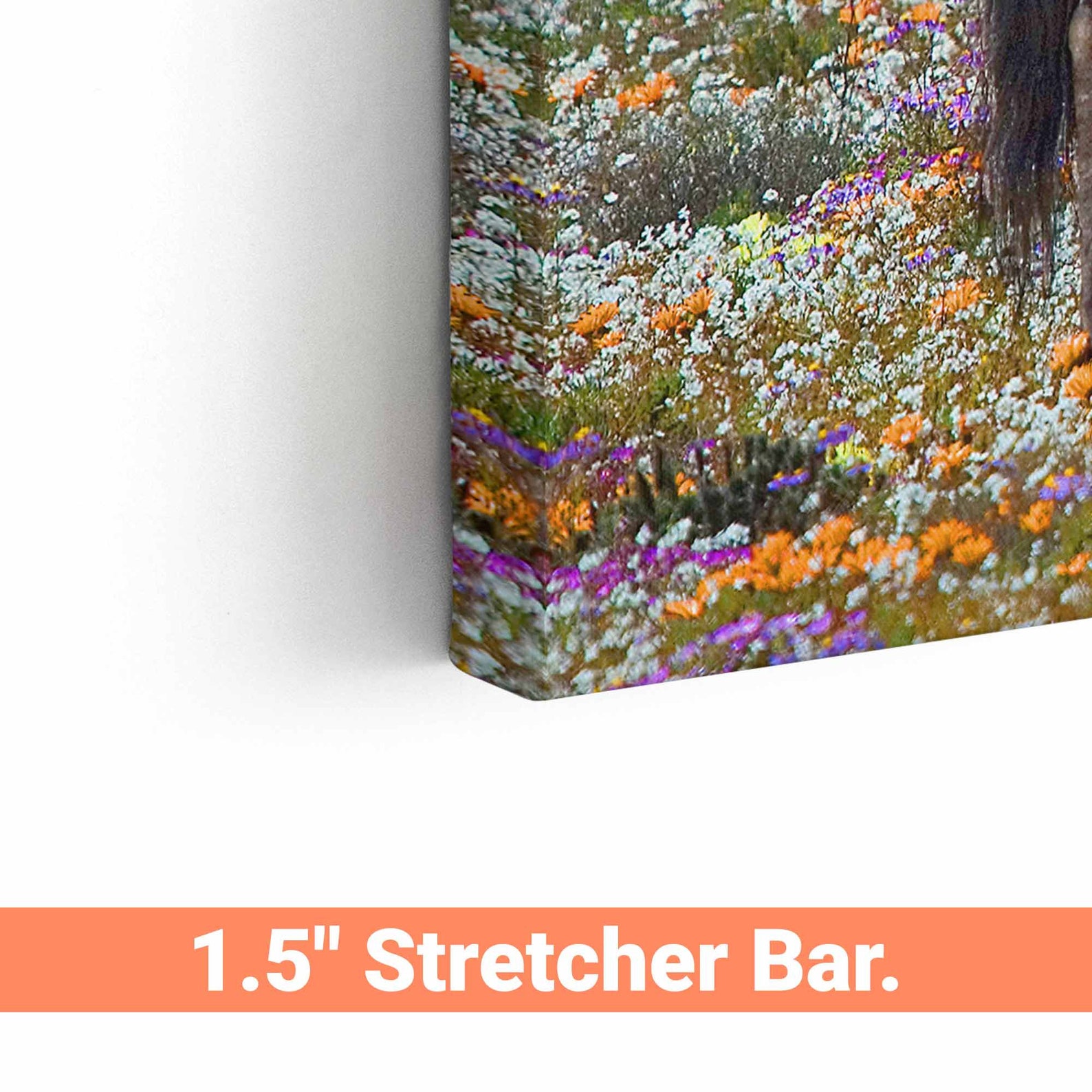 Oryx in Flowers Canvas Print || Oryx in Flowers Wall Art || Oryx in ...