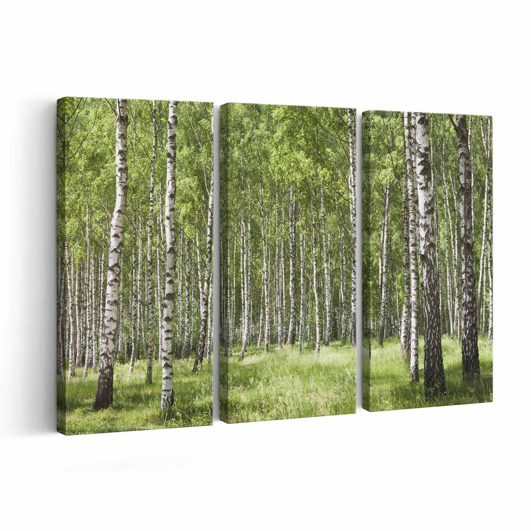 Birch Forest Canvas Print || Birch Forest Wall Art || Birch Forest ...
