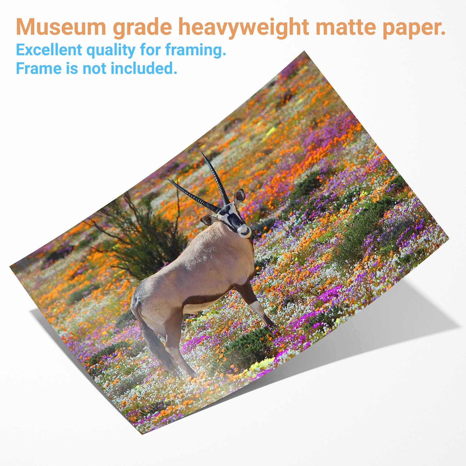 Oryx in Flowers Canvas Print || Oryx in Flowers Wall Art || Oryx in ...