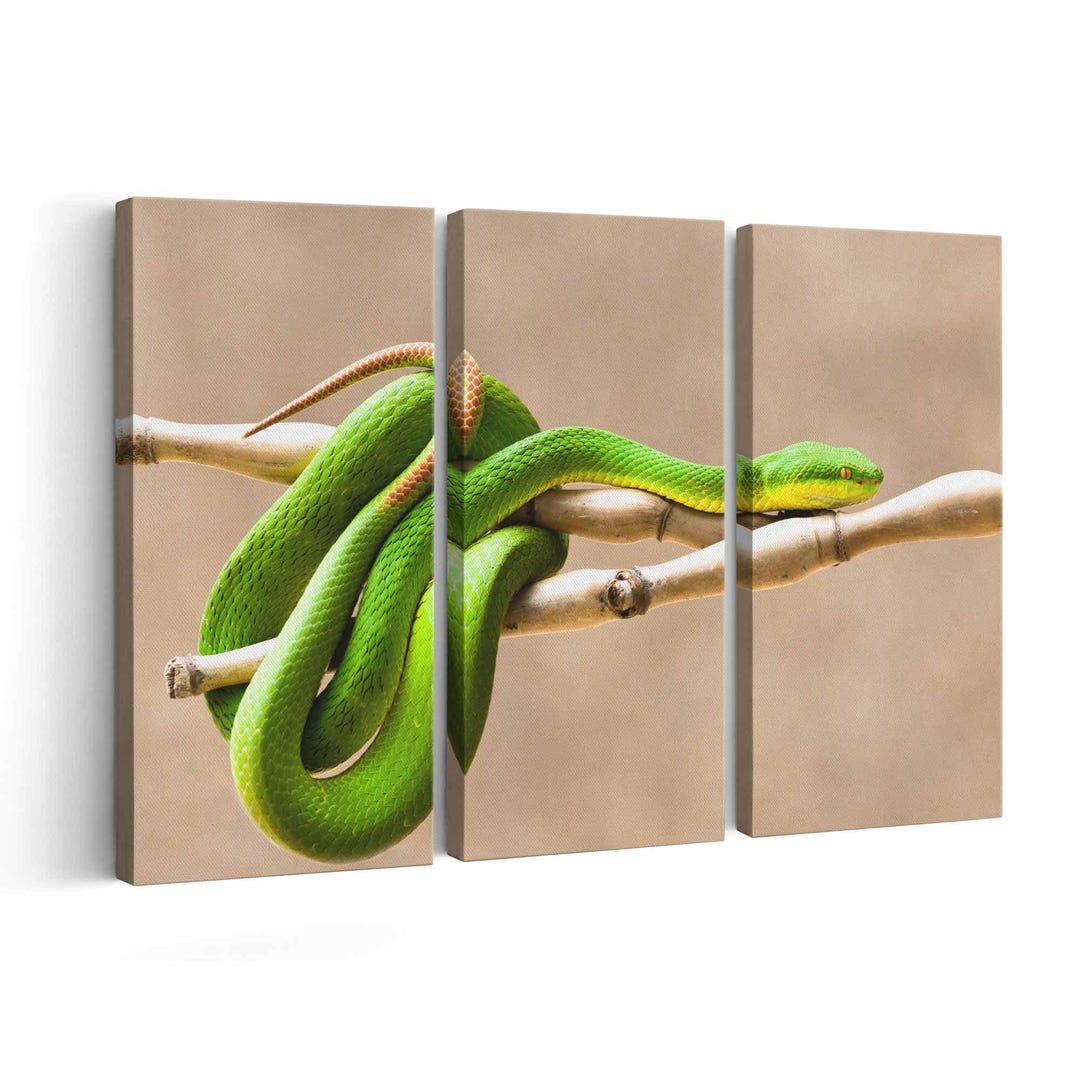 Viper Wall Art | Canvas or Poster Print (framed) | Color / Black ...