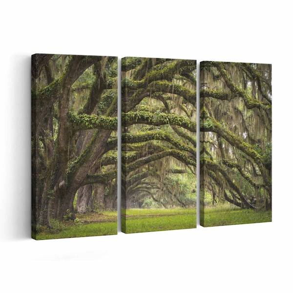 Oak Tree Posters - Etsy