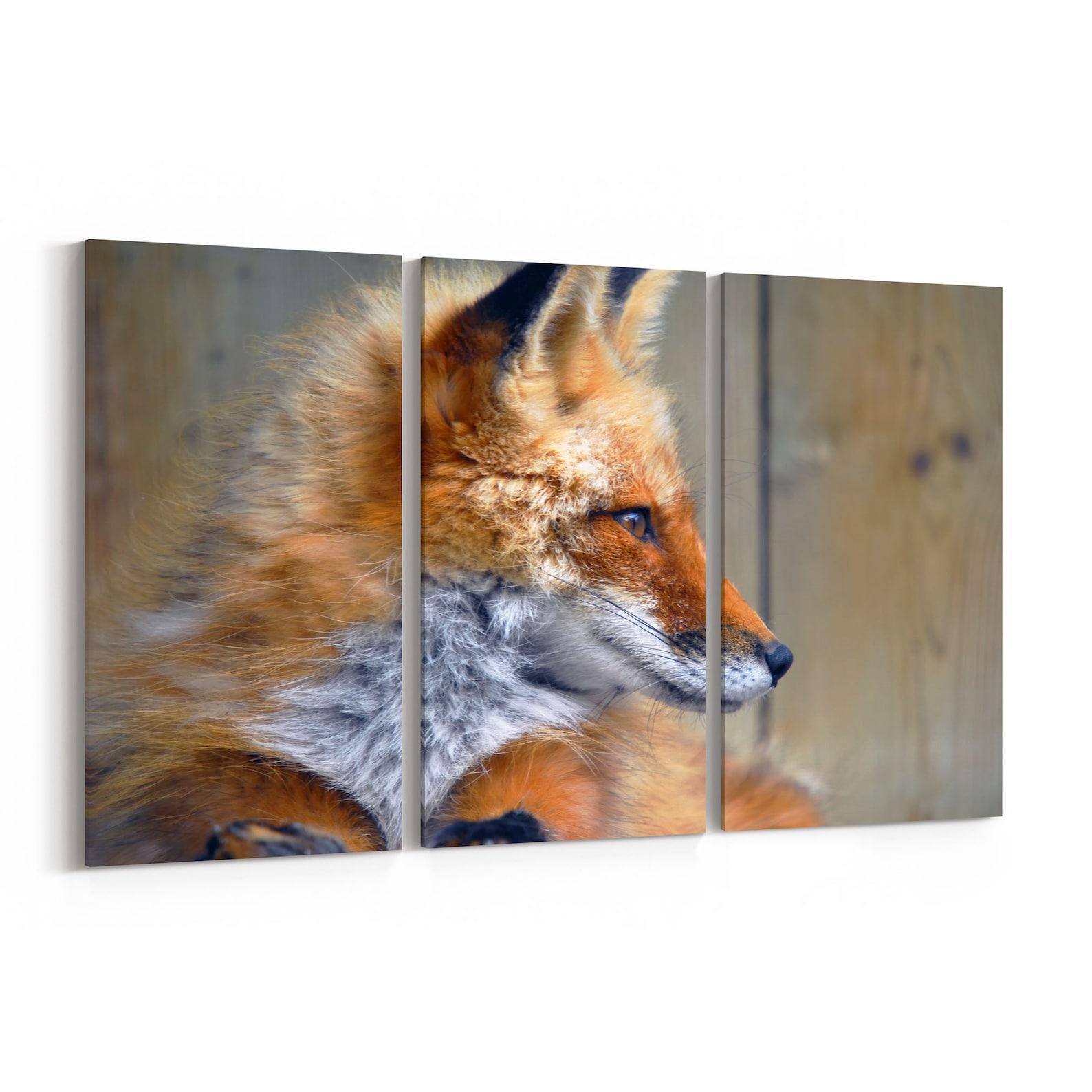Red Fox Canvas Print Red Fox Wall Art Canvas Multiple Sizes | Etsy