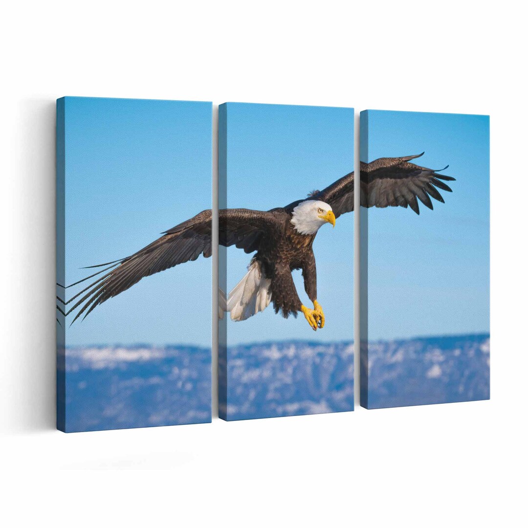 Bald Eagle Canvas Print || Bald Eagle Wall Art || Bald Eagle Poster ...