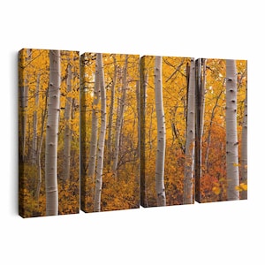 Aspen Tree Canvas Print || Aspen Tree Wall Art || Aspen Tree Poster ...