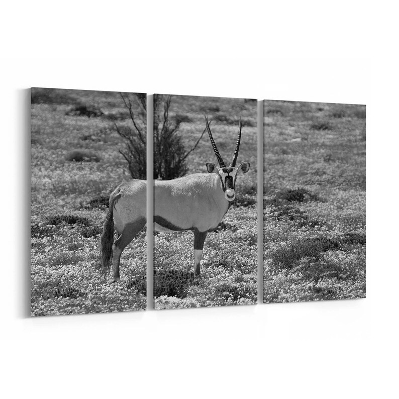 Oryx in Flowers Canvas Print Oryx in Flowers Wall Art Canvas | Etsy