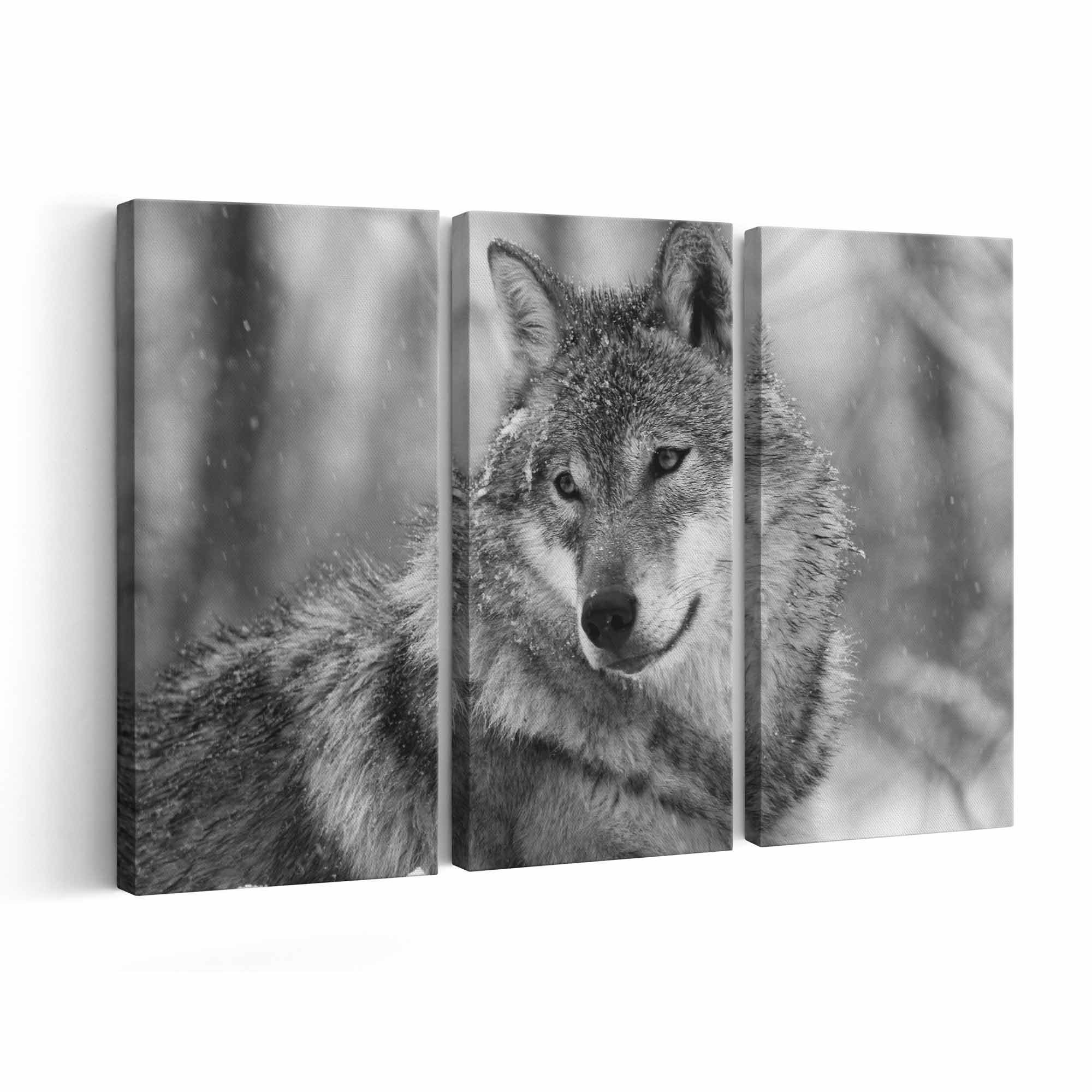 Gray Wolf Canvas Print Gray Wolf Wall Art Canvas Multiple - Etsy