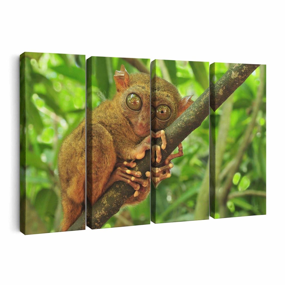 Tarsier Canvas Print Tarsier Wall Art Tarsier Poster - Etsy