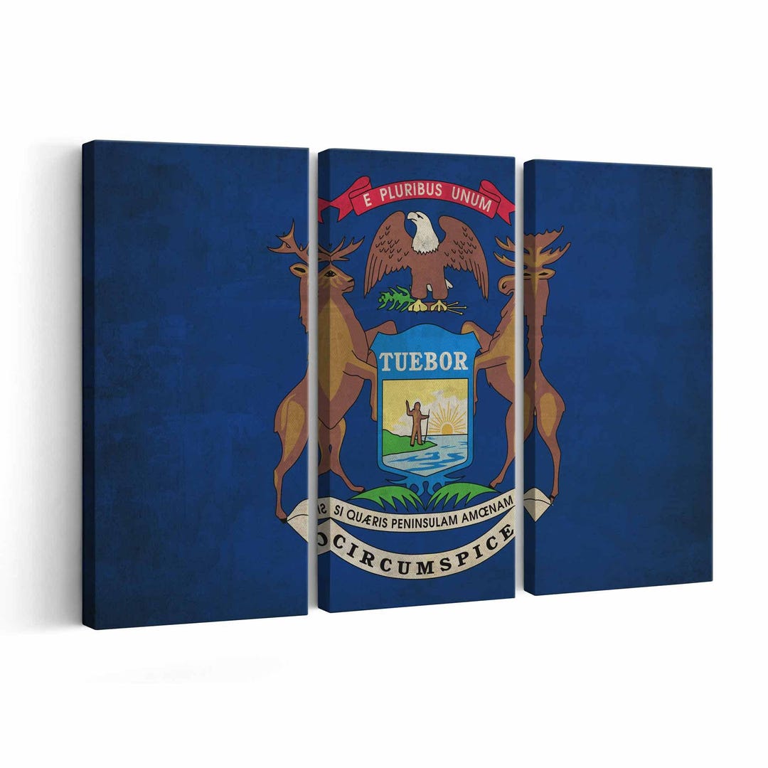 Michigan State Flag | Canvas or Poster Print (framed) | Color / Black ...