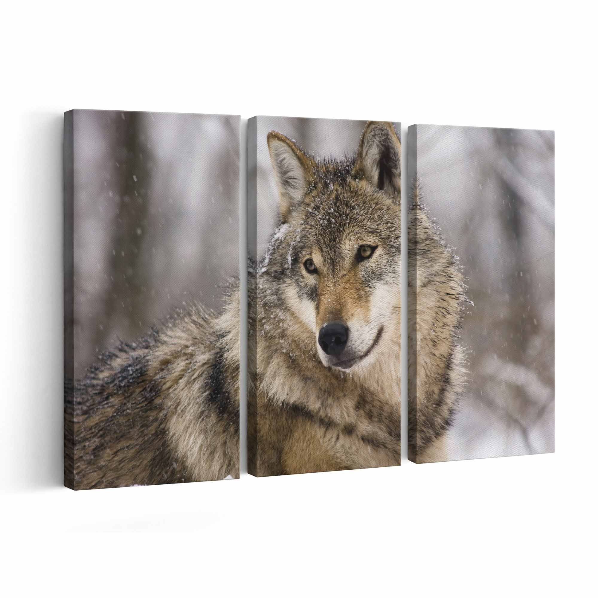 Gray Wolf Canvas Print Gray Wolf Wall Art Canvas Multiple - Etsy