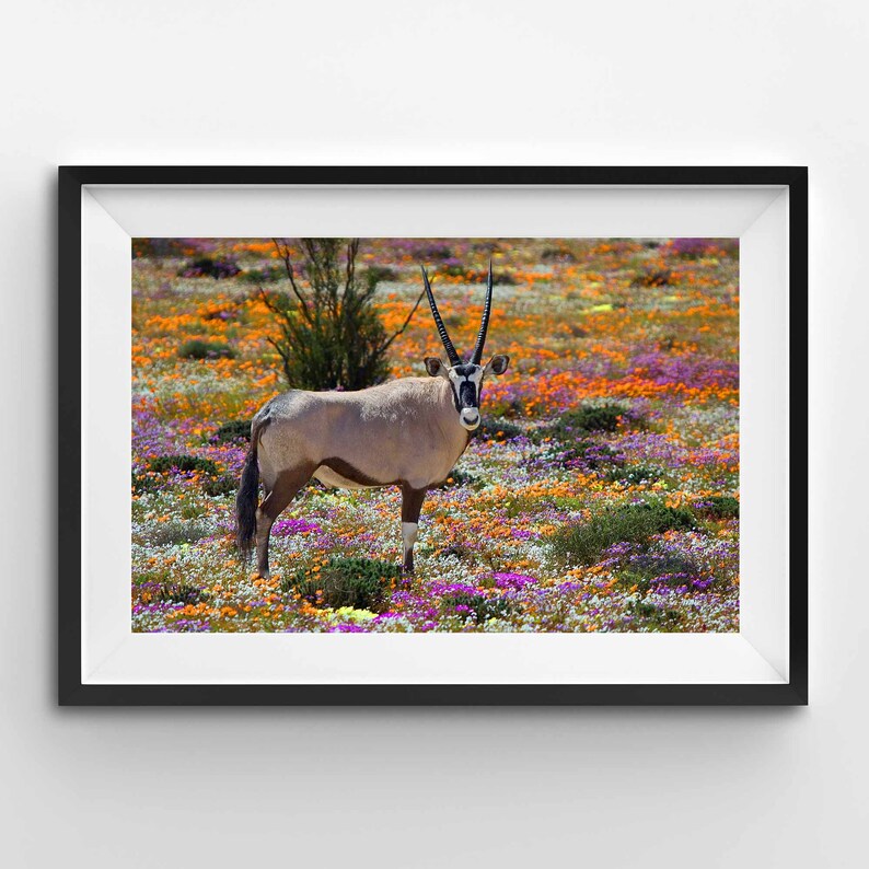 Oryx in Flowers Canvas Print || Oryx in Flowers Wall Art || Oryx in ...