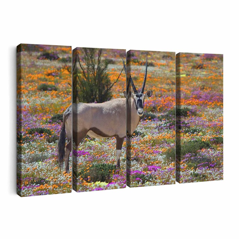 Oryx in Flowers Canvas Print || Oryx in Flowers Wall Art || Oryx in ...