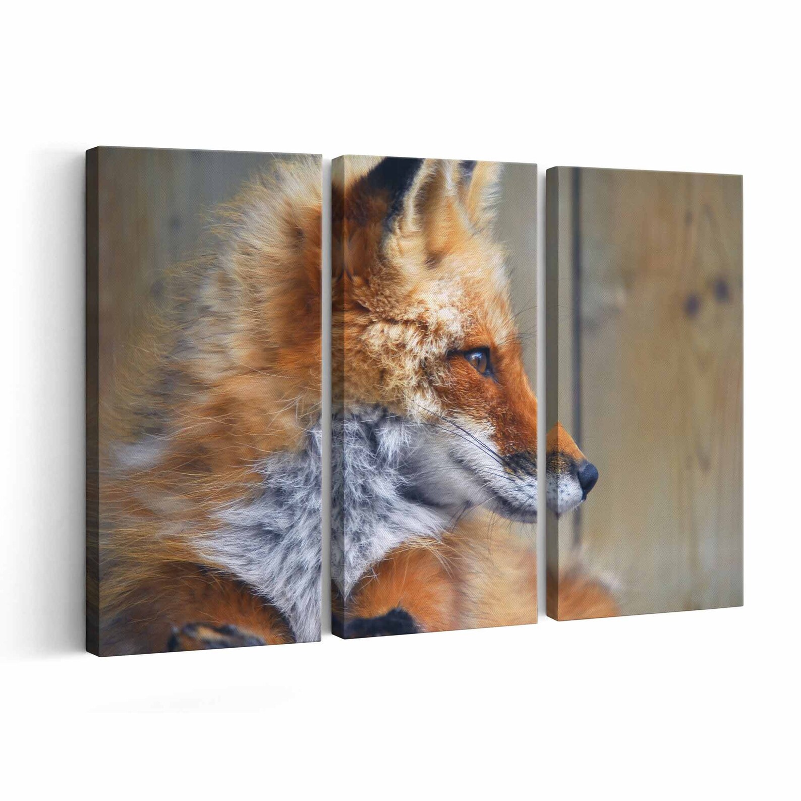 Red Fox Canvas Print Red Fox Wall Art Canvas Multiple Sizes - Etsy