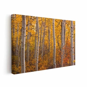 Aspen Tree Canvas Print Aspen Tree Wall Art Canvas Multiple - Etsy