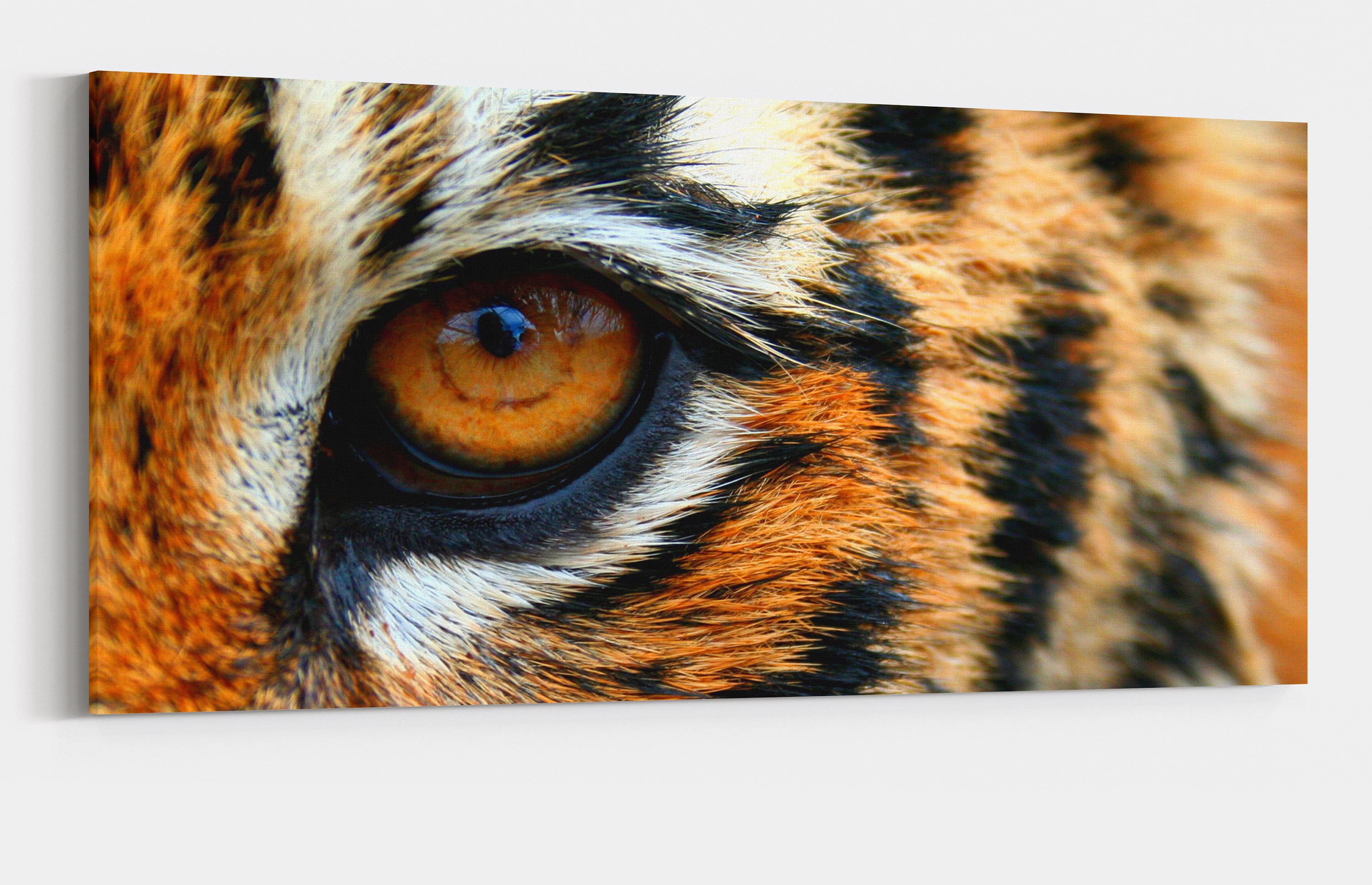 20 Best wall art tiger eyes painting You Can Use It Without A Dime ...