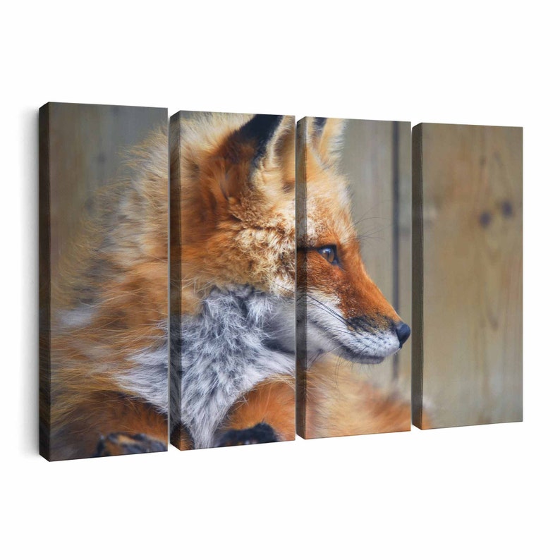 Red Fox Canvas Print Red Fox Wall Art Canvas Multiple Sizes - Etsy