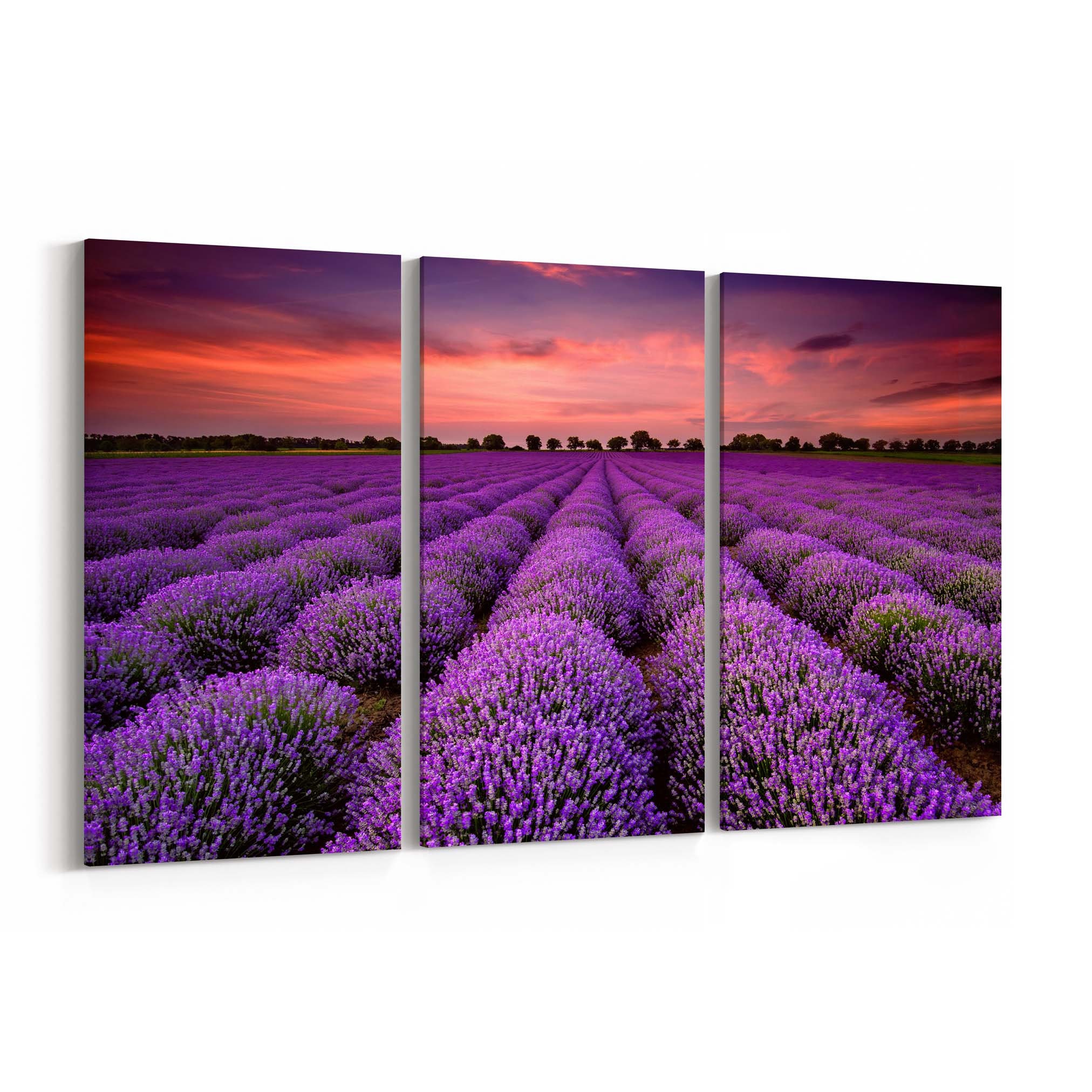 Lavender Field Canvas Print Lavender Field Wall Art Canvas - Etsy