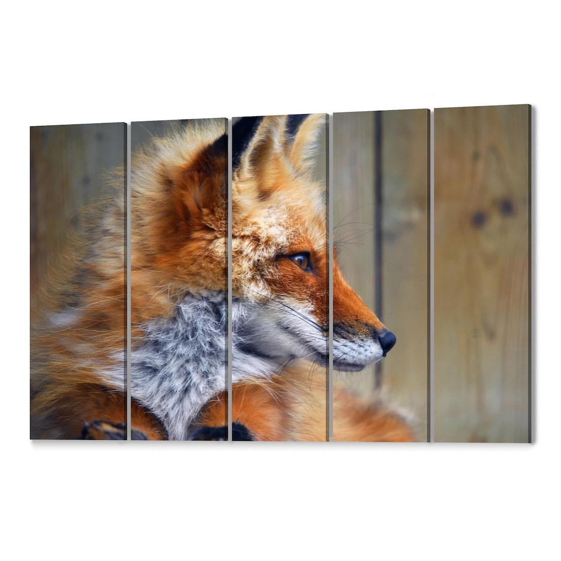 Red Fox Canvas Print Red Fox Wall Art Canvas Multiple Sizes | Etsy