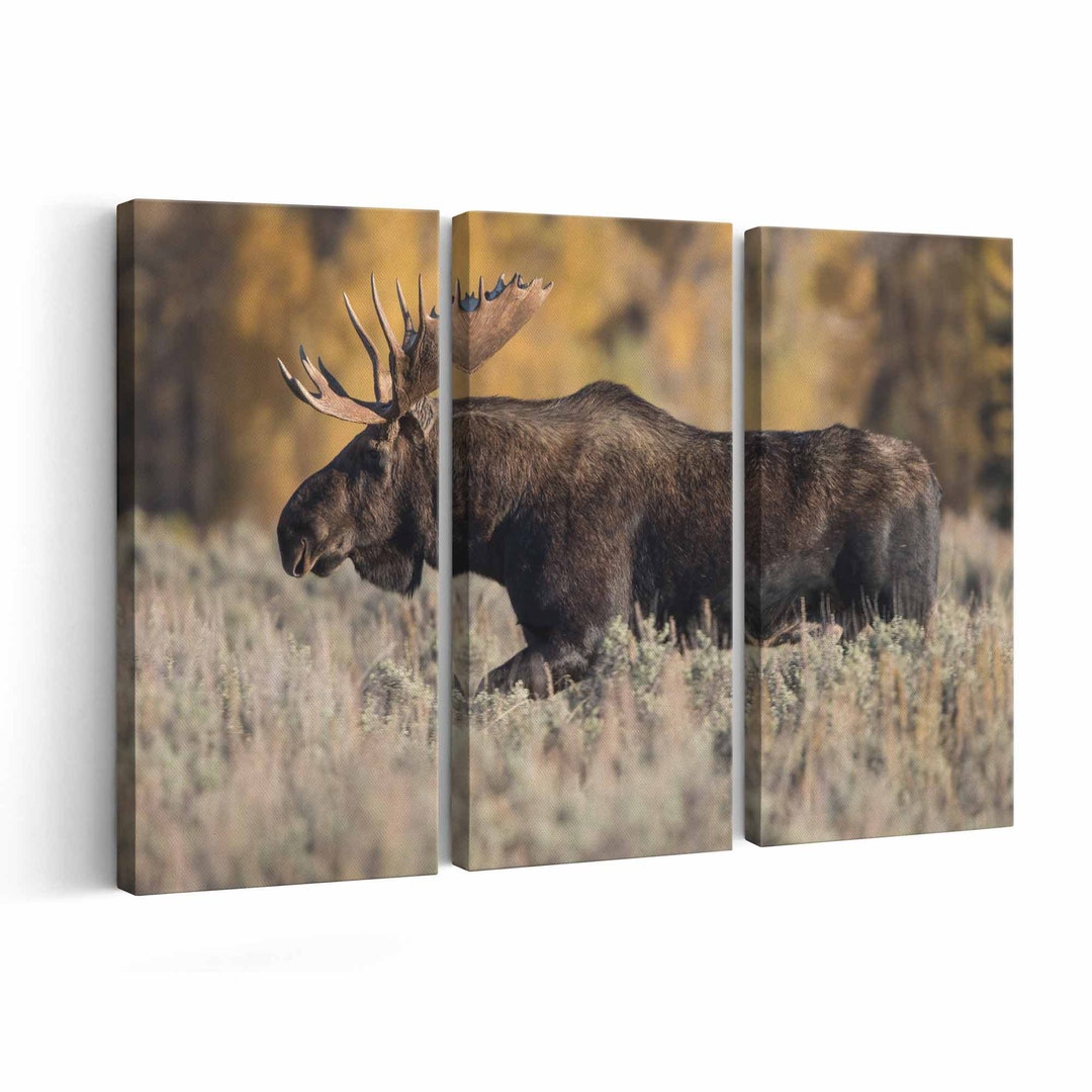 Moose Canvas Print || Moose Wall Art || Moose Poster || Moose Home ...