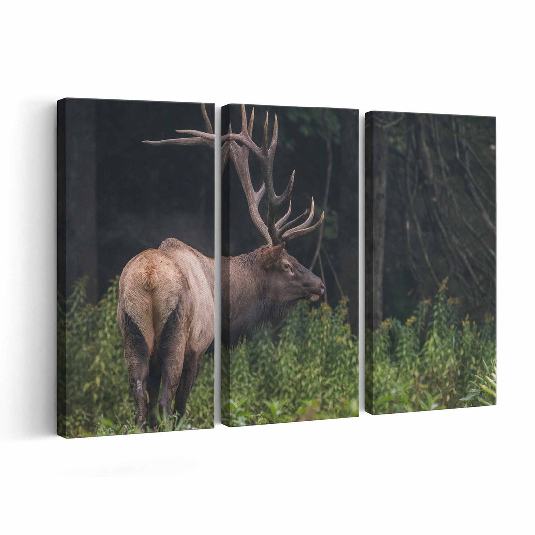 Elk Canvas Print || Elk Wall Art || Elk Poster || Elk Home Decor || Elk ...