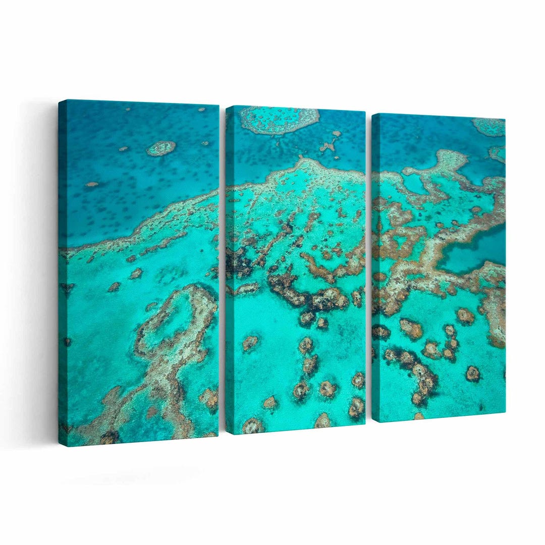 Great Barrier Reef Wall Art | Canvas or Poster Print (framed) | Color ...