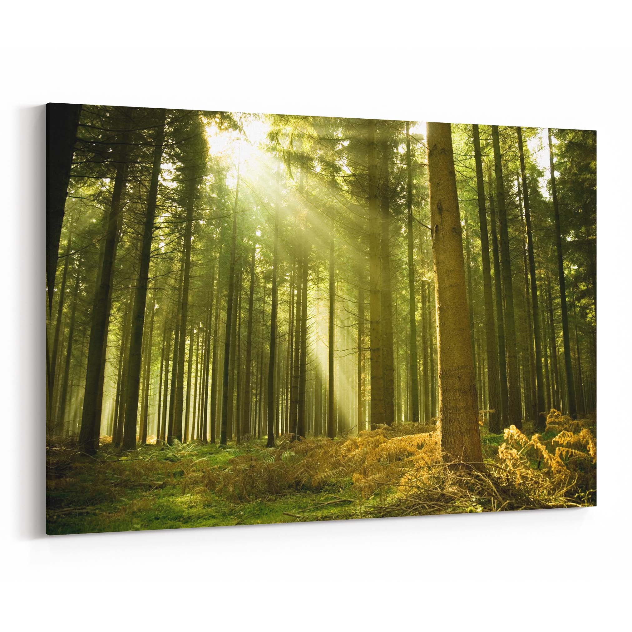 Pine Forest Canvas Print Pine Forest Wall Art Canvas Multiple | Etsy