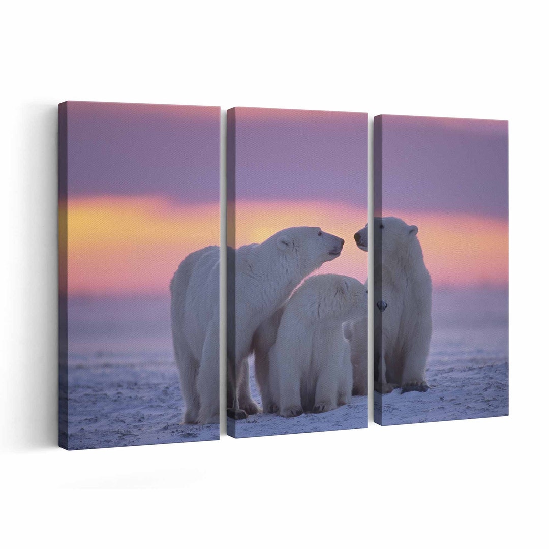 Polar Bear Canvas Print || Polar Bear Wall Art || Polar Bear Poster ...