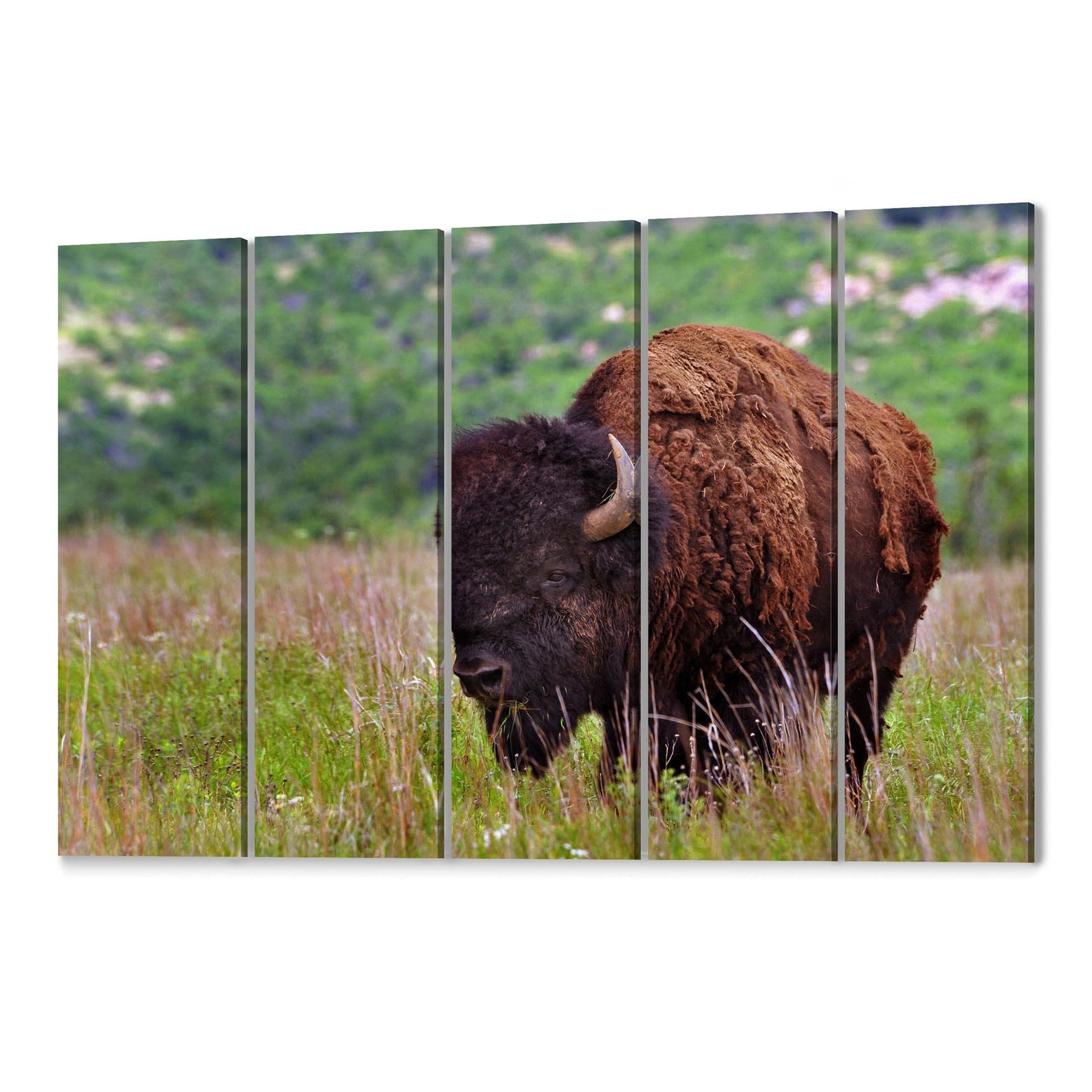 American Buffalo Canvas Print American Buffalo Wall Art Canvas | Etsy