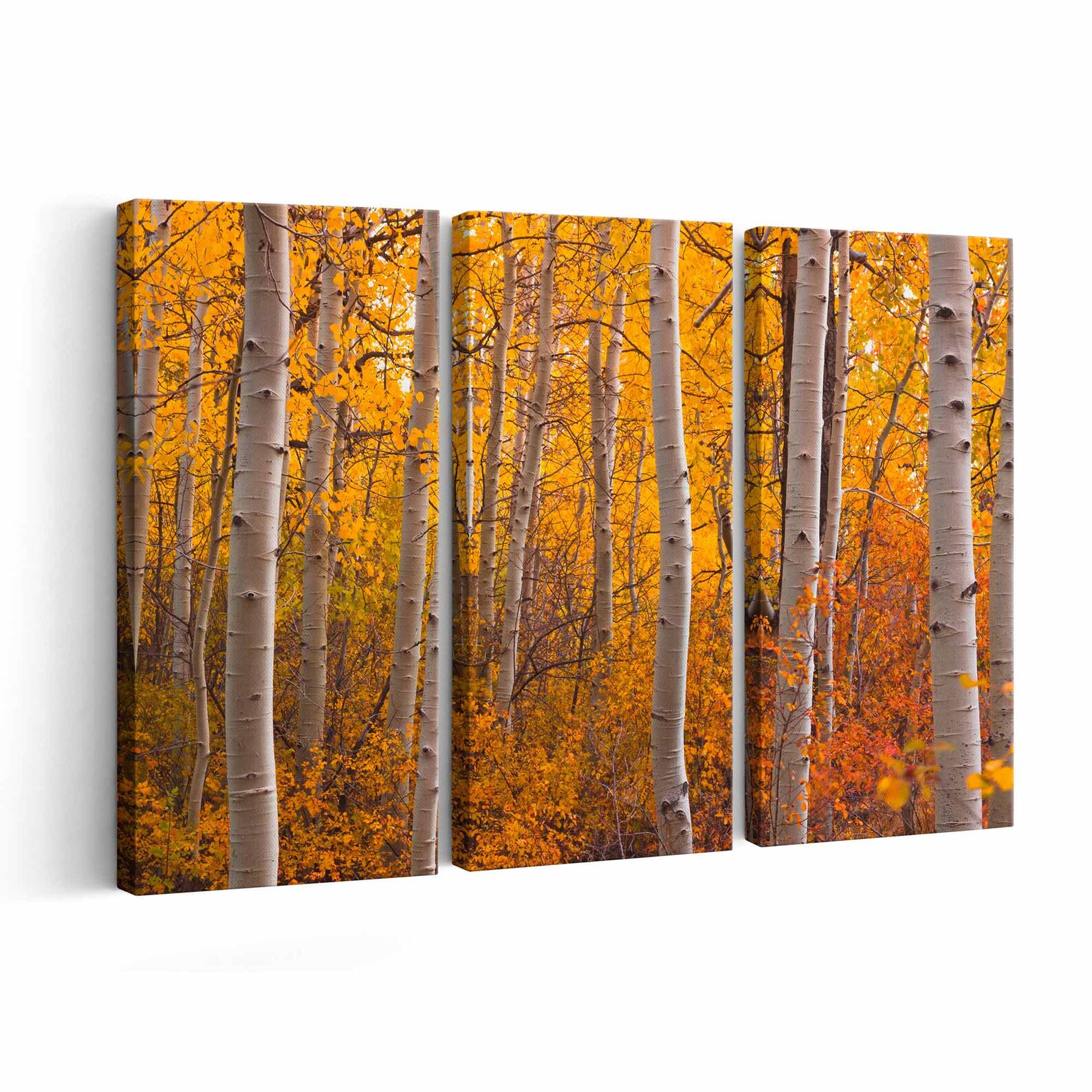Aspen Tree Canvas Print Aspen Tree Wall Art Canvas Multiple - Etsy