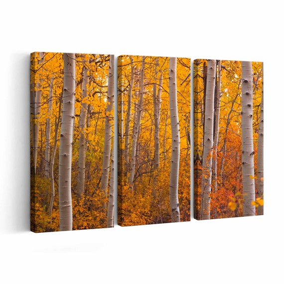 Aspen Tree Canvas Print Aspen Tree Wall Art Canvas Multiple - Etsy