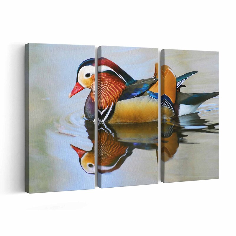 Mandarin Duck Art - Etsy