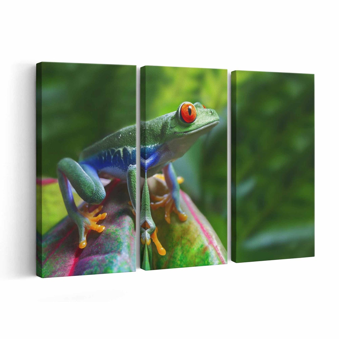 Tree Frog Canvas Print || Tree Frog Wall Art || Tree Frog Poster ...