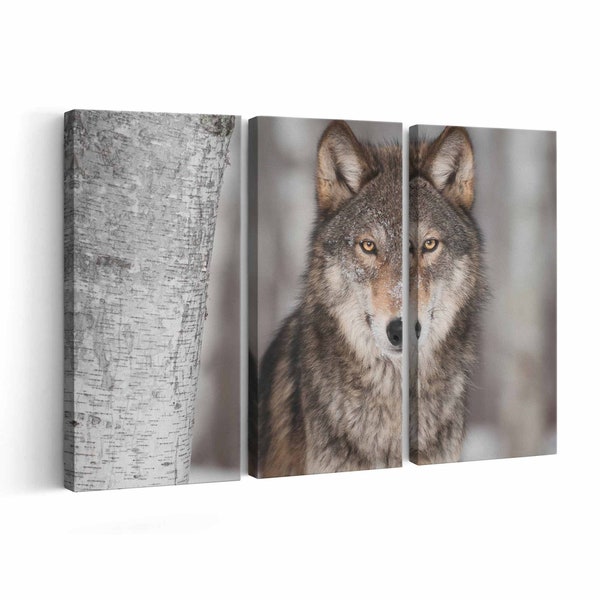 Gray Wolf Art - Etsy