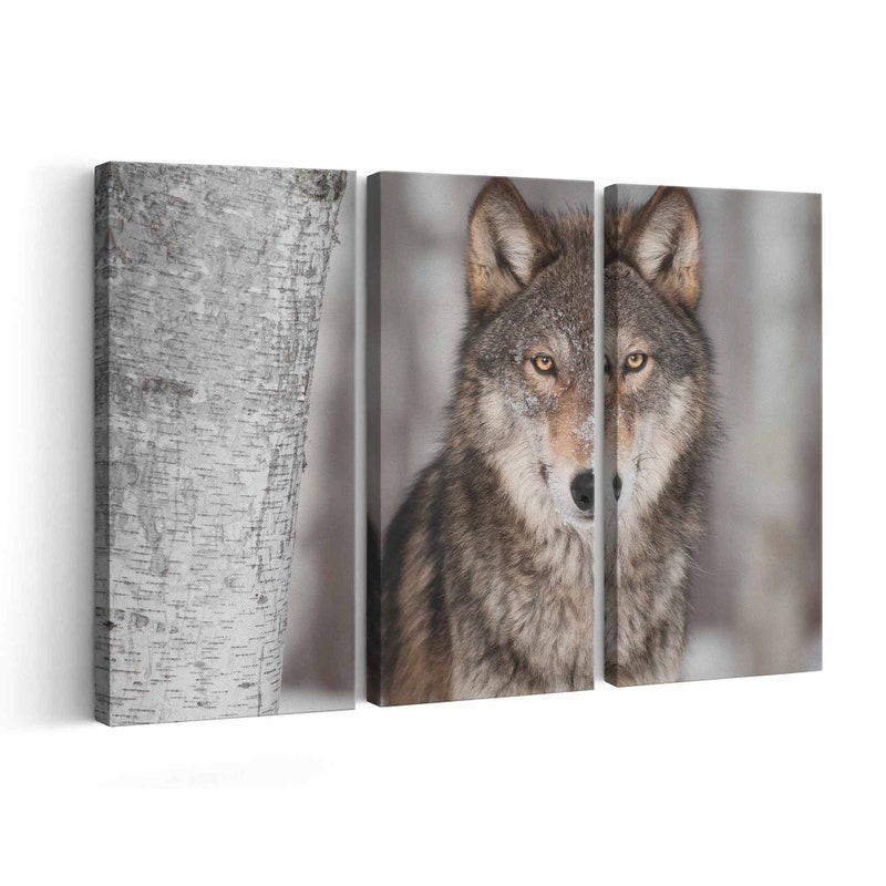 Gray Wolf Art - Etsy
