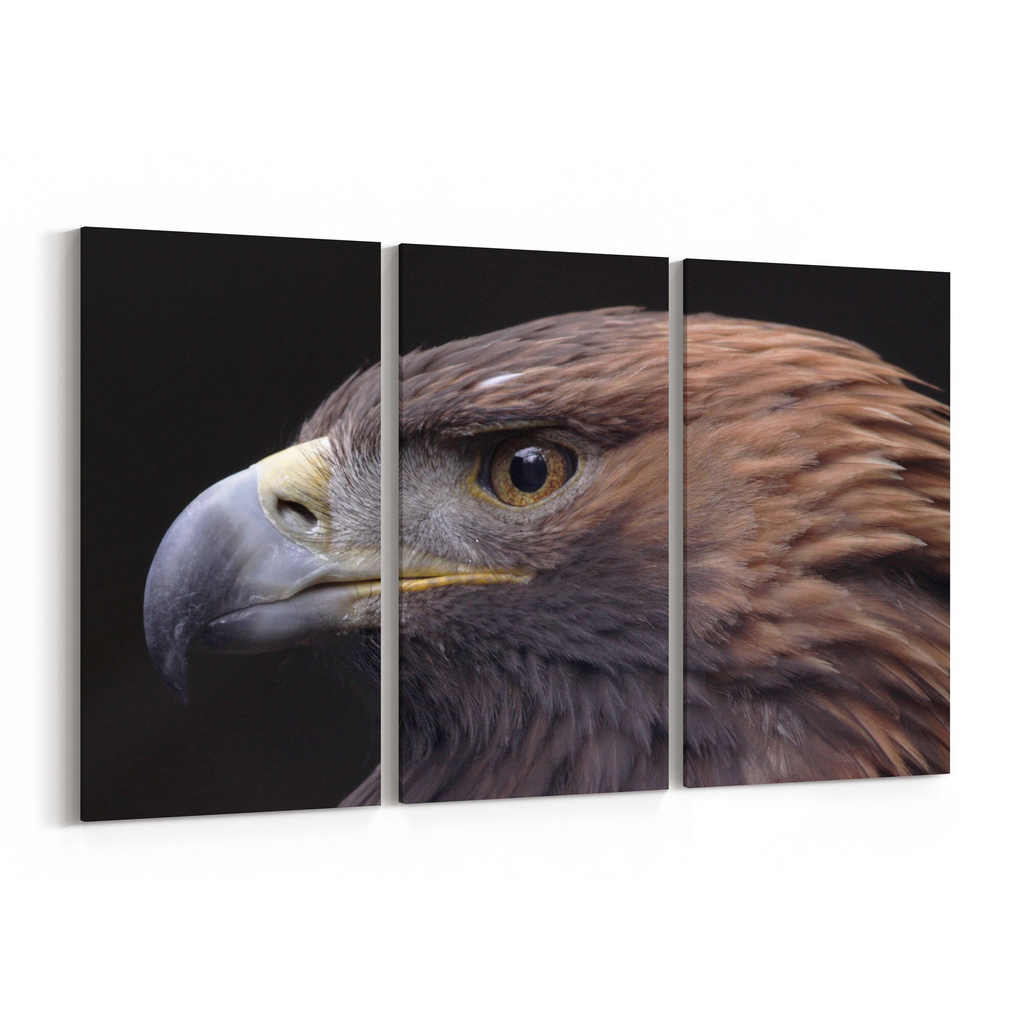 Golden Eagle Canvas Print Golden Eagle Wall Art Canvas | Etsy