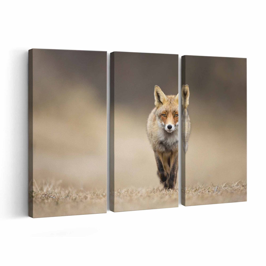 Red Fox Canvas Print || Red Fox Wall Art || Red Fox Poster || Red Fox ...