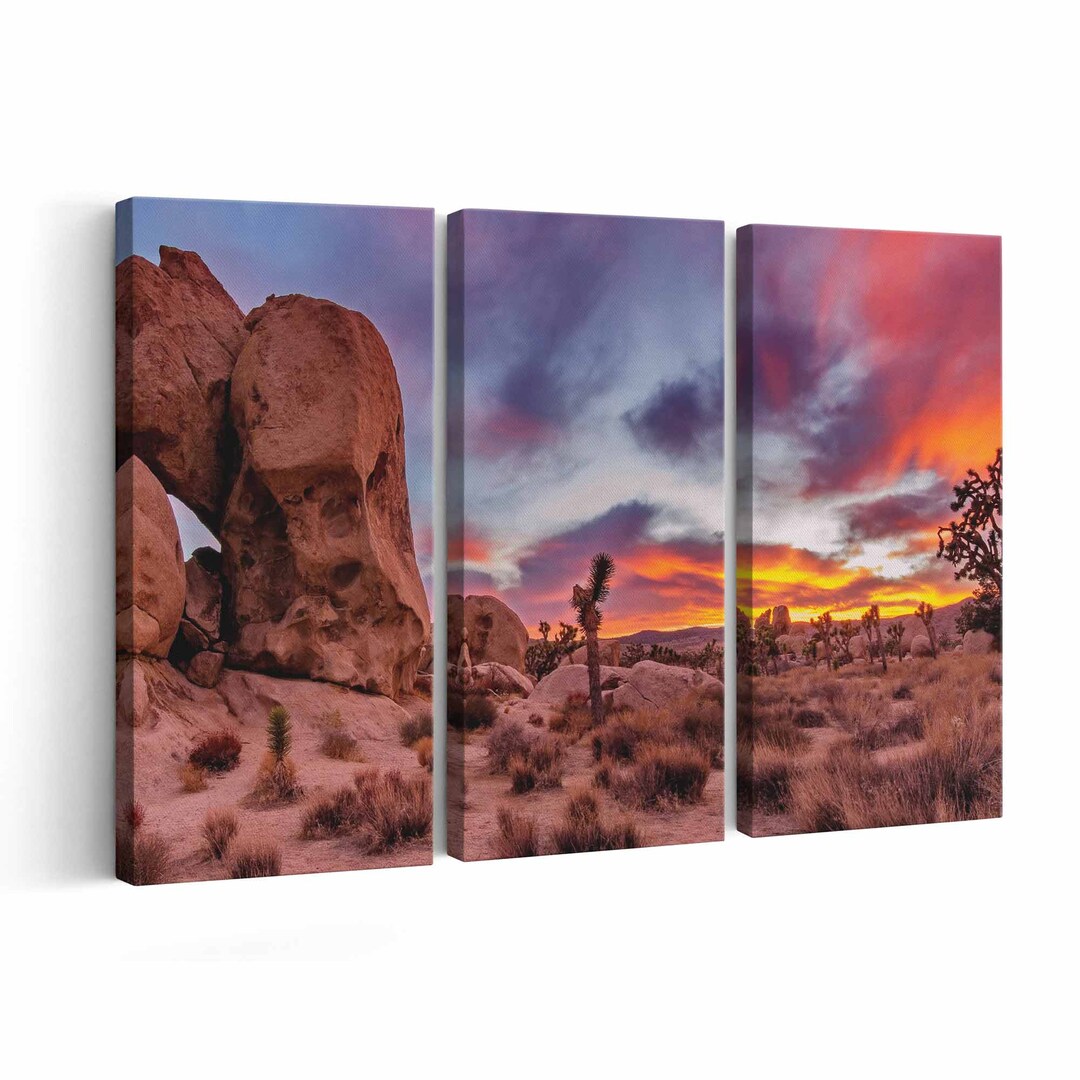 Joshua Tree Sunset Canvas Print || Joshua Tree Sunset Wall Art ...