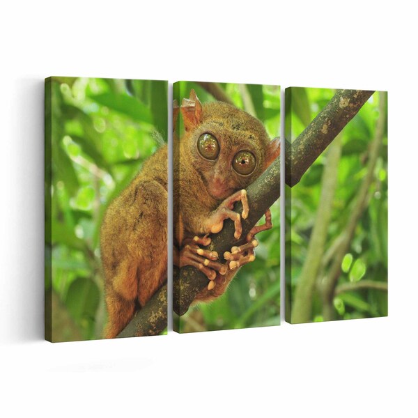 Tarsier - Etsy