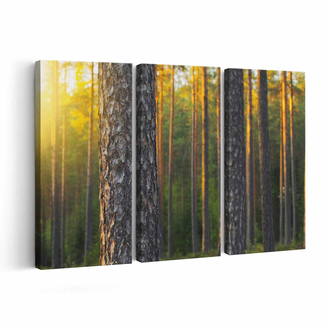 Pine Forest Canvas Print || Pine Forest Wall Art || Pine Forest Poster || Pine Forest Home Decor ...