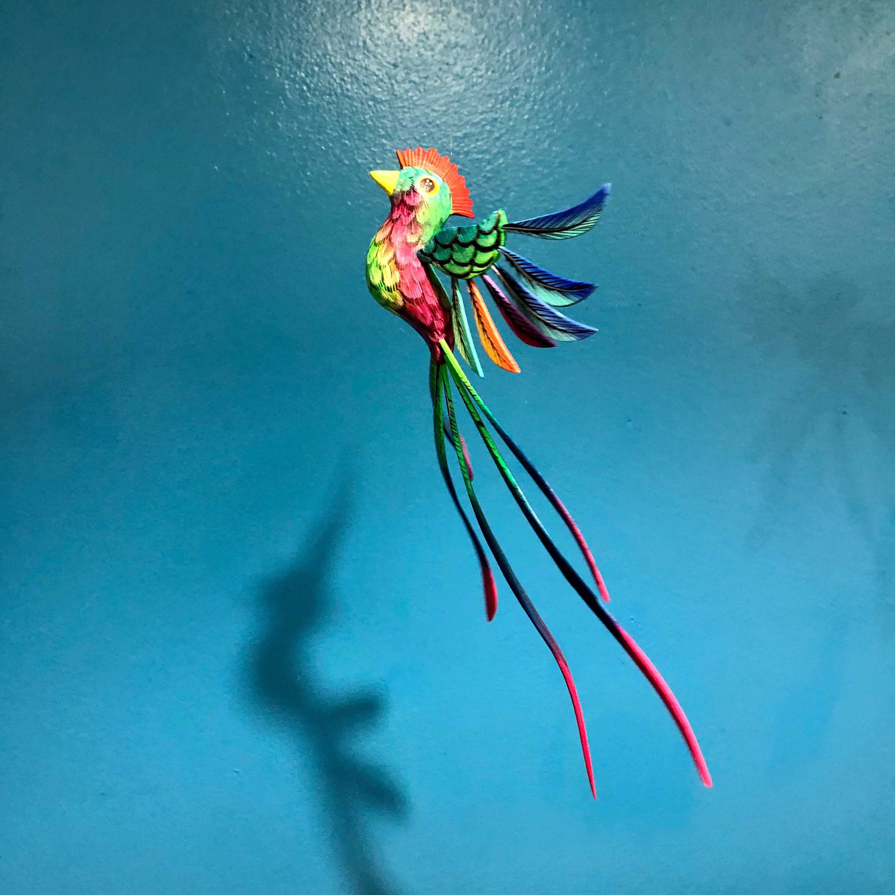 Alebrije Exotic Quetzal Bird Wood Carving by Roberto and Esperanza Martinez
