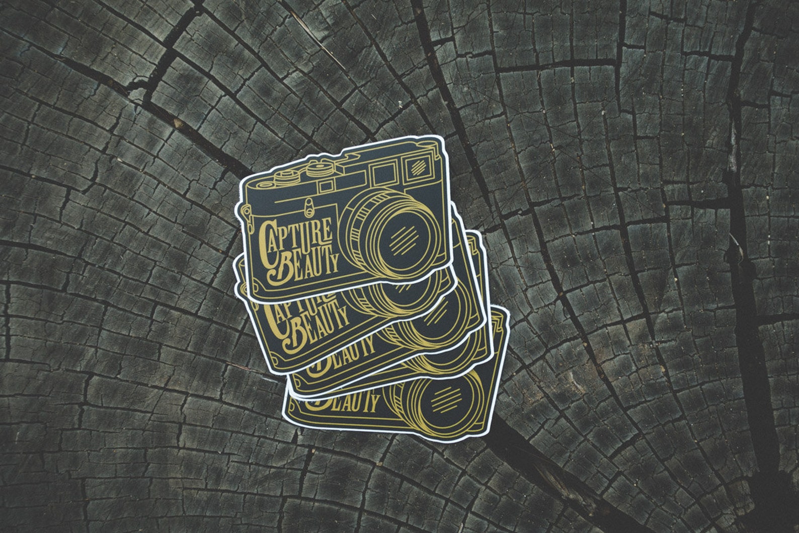 Film Camera Sticker Set 2 - Etsy
