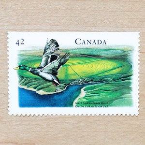 4 River Postage Stamps, Canada, Wedding Calligraphy Envelope, Canadian ...