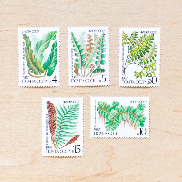 Fern Stationery - Etsy