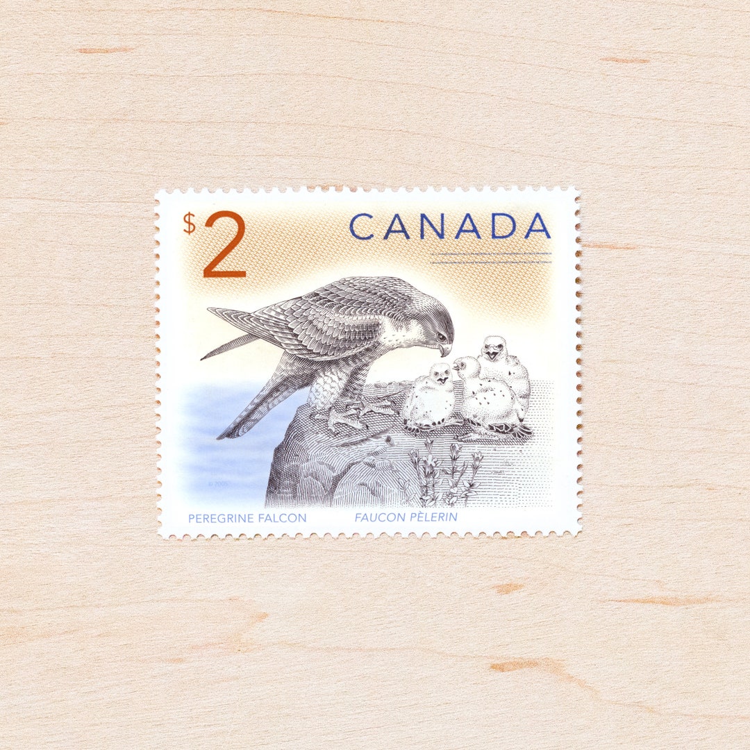 Peregrine Falcon Postage Stamp, Wedding Calligraphy Envelopes, Canadian ...