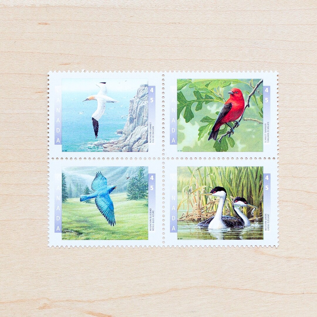 Birds of Canada Postage Stamps, Wedding Calligraphy, Canadian, Mountain ...