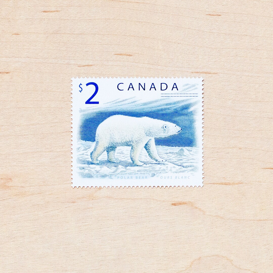 Polar Bear Postage Stamp, Canada, Arctic Snow, Wedding Calligraphy ...